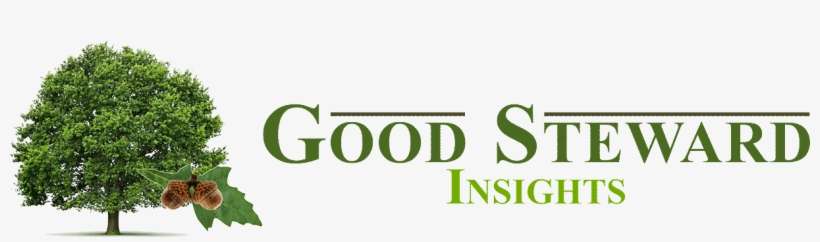 News & Insights At Good Steward Financial - Graphics PNG Image ...