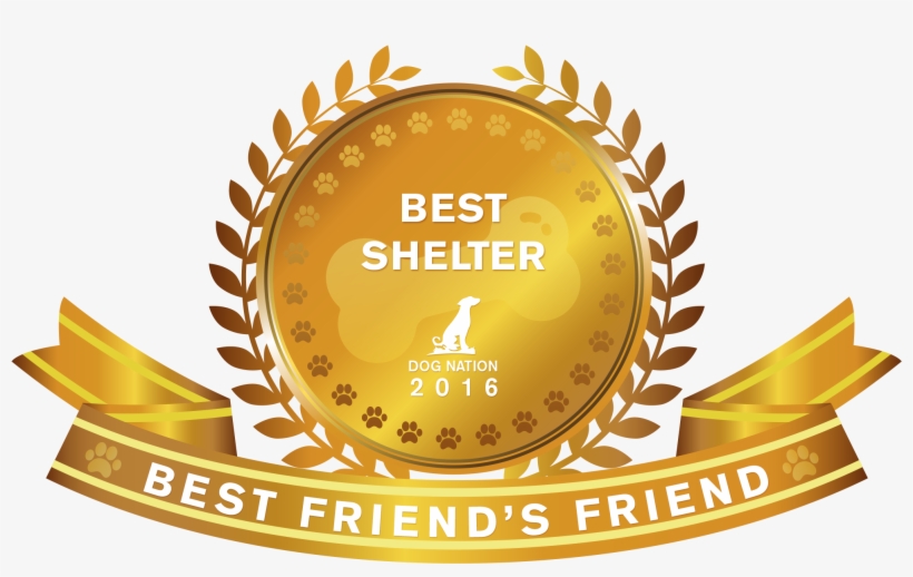 Enter The "best Friend's Friend" Contest - Bombay Foodstuff Trading Co ...
