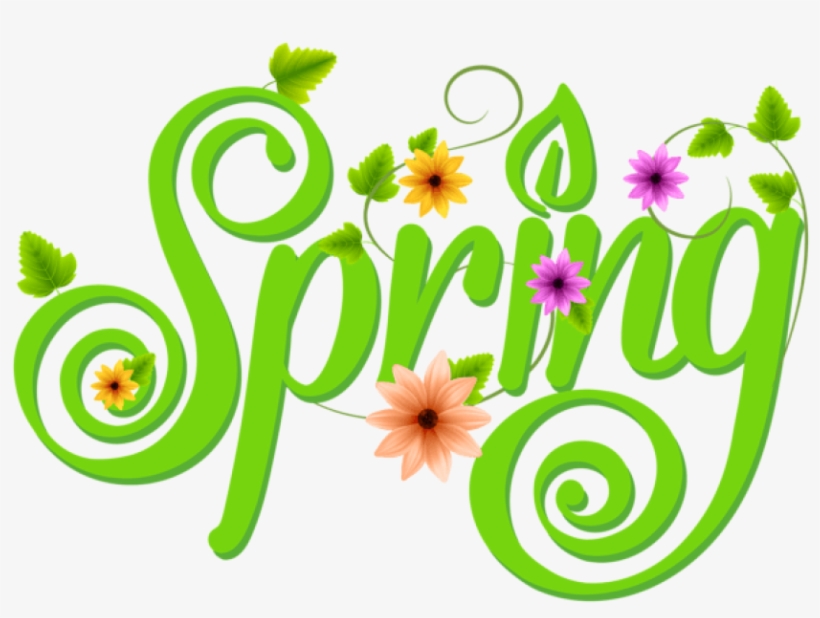 Download Free Png Download Spring Decoration Png Images Background ...