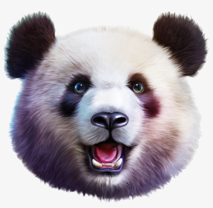 Panda - Brown Bear PNG Image | Transparent PNG Free Download on SeekPNG