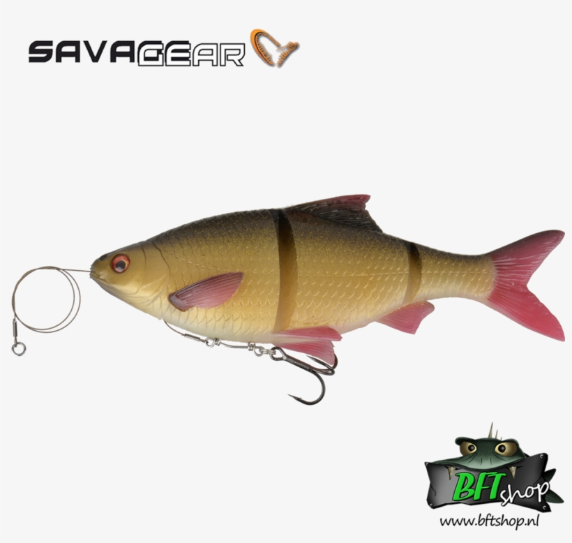 Line Thru Roach 40cm PNG Image | Transparent PNG Free Download on SeekPNG