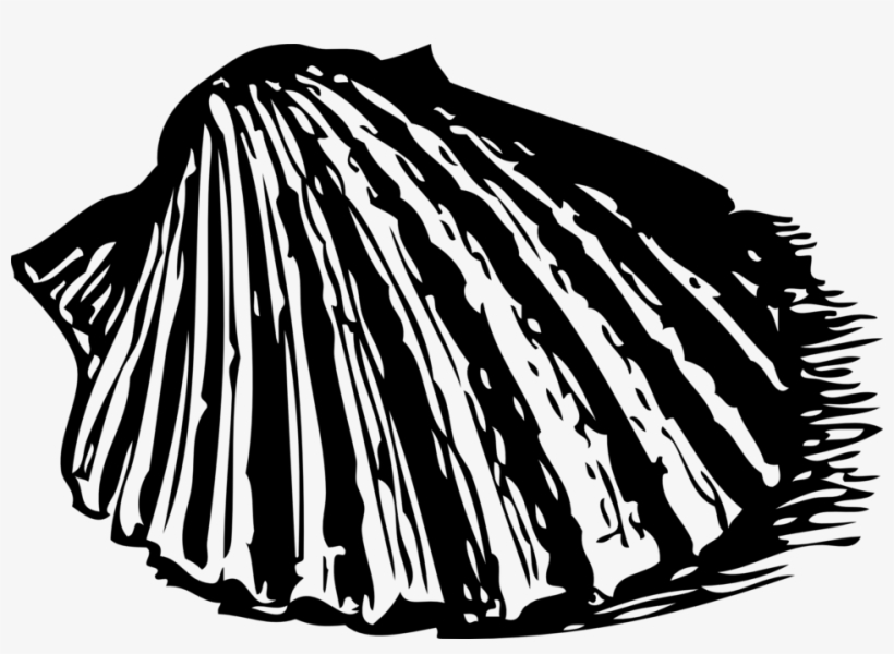 Scallop Shell - Shell Clip Art PNG Image | Transparent PNG Free ...