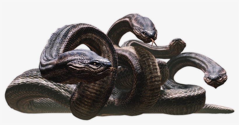 Snake Monster Concept Art PNG Image | Transparent PNG Free Download on ...