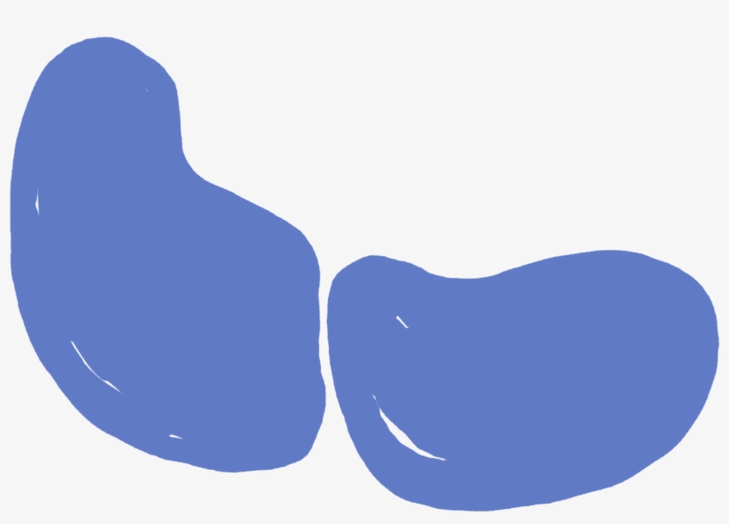 Kidney PNG Image | Transparent PNG Free Download on SeekPNG