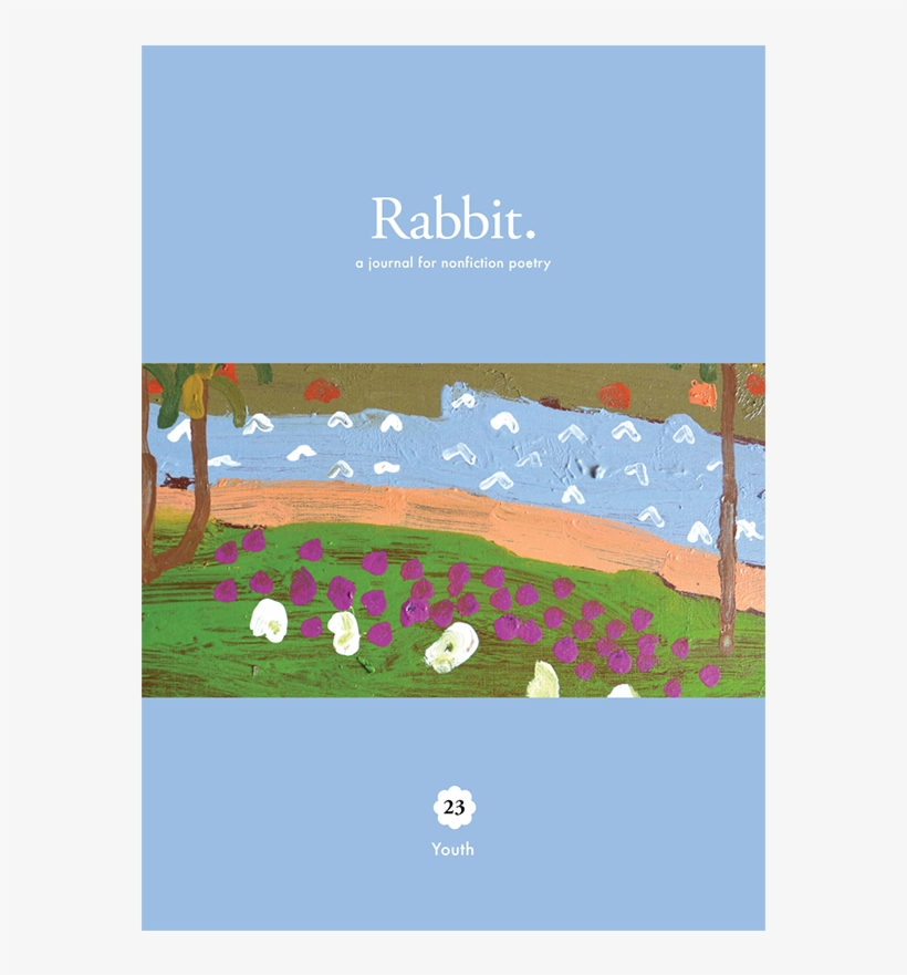 Rabbit - Poster PNG Image | Transparent PNG Free Download on SeekPNG