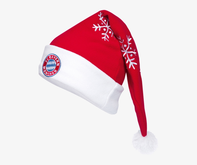 Bayern Munich PNG Image | Transparent PNG Free Download on SeekPNG
