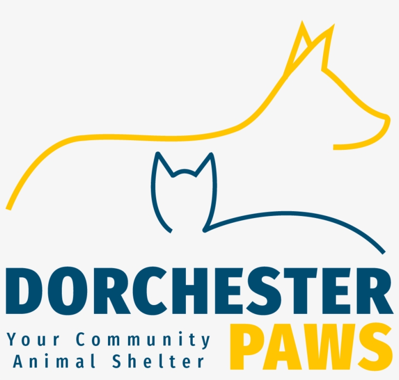 Color Vertical Logo - Graphic Design PNG Image | Transparent PNG Free ...