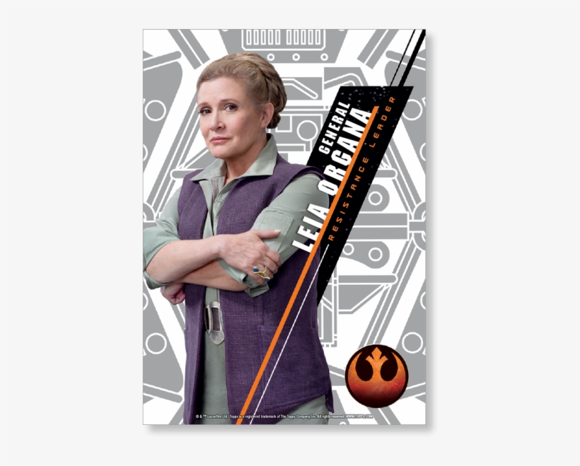 Gallery - Banner PNG Image | Transparent PNG Free Download on SeekPNG