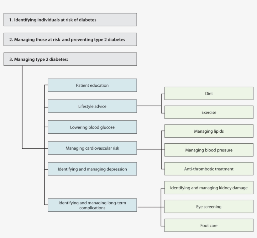 The Type 2 Diabetes Care Pathway - Diabetes Care Pathway Example PNG ...