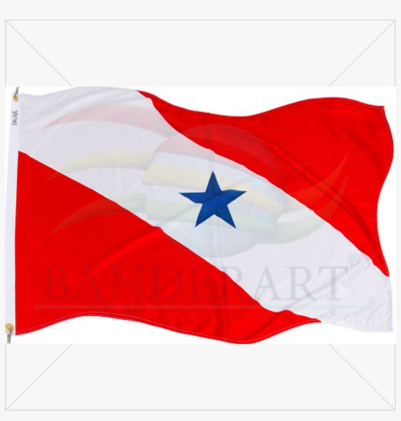Bandeira Do Pará Oficial 22x33 - Bandeira Do Para Png PNG Image ...