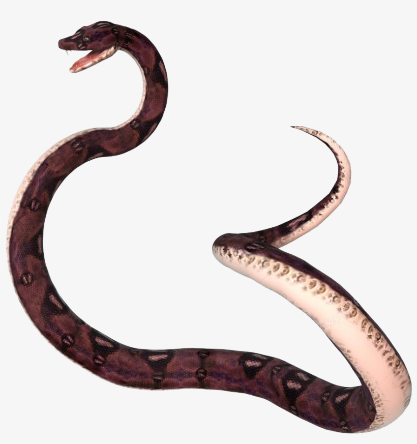 Snakes PNG Image | Transparent PNG Free Download on SeekPNG