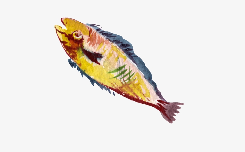 Yellow Fish Watercolor Hand Drawn Transparent - Watercolor Painting PNG ...
