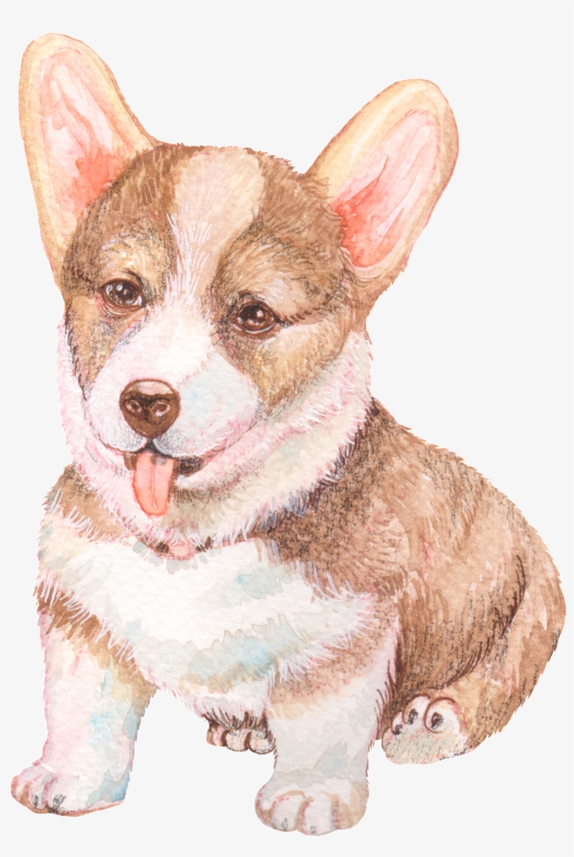 Portable Network Graphics PNG Image | Transparent PNG Free Download on ...