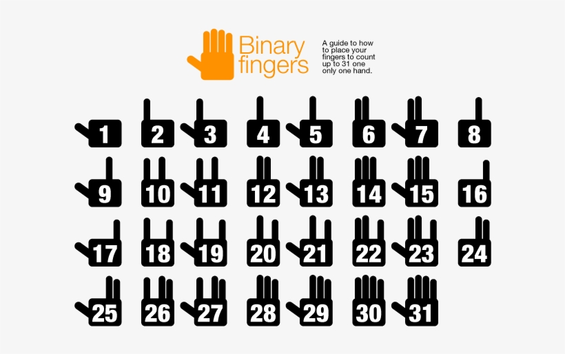 Download Binary Finger Counting - Count In Binary On Your Fingers | Transparent PNG Download ...