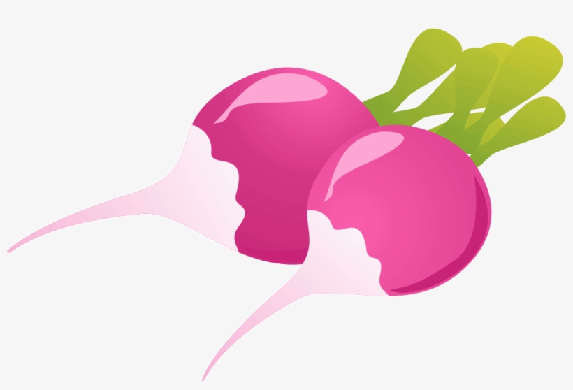 Turnips Png PNG Image | Transparent PNG Free Download on SeekPNG