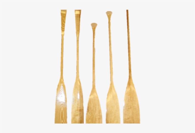 Paddle PNG Image | Transparent PNG Free Download on SeekPNG