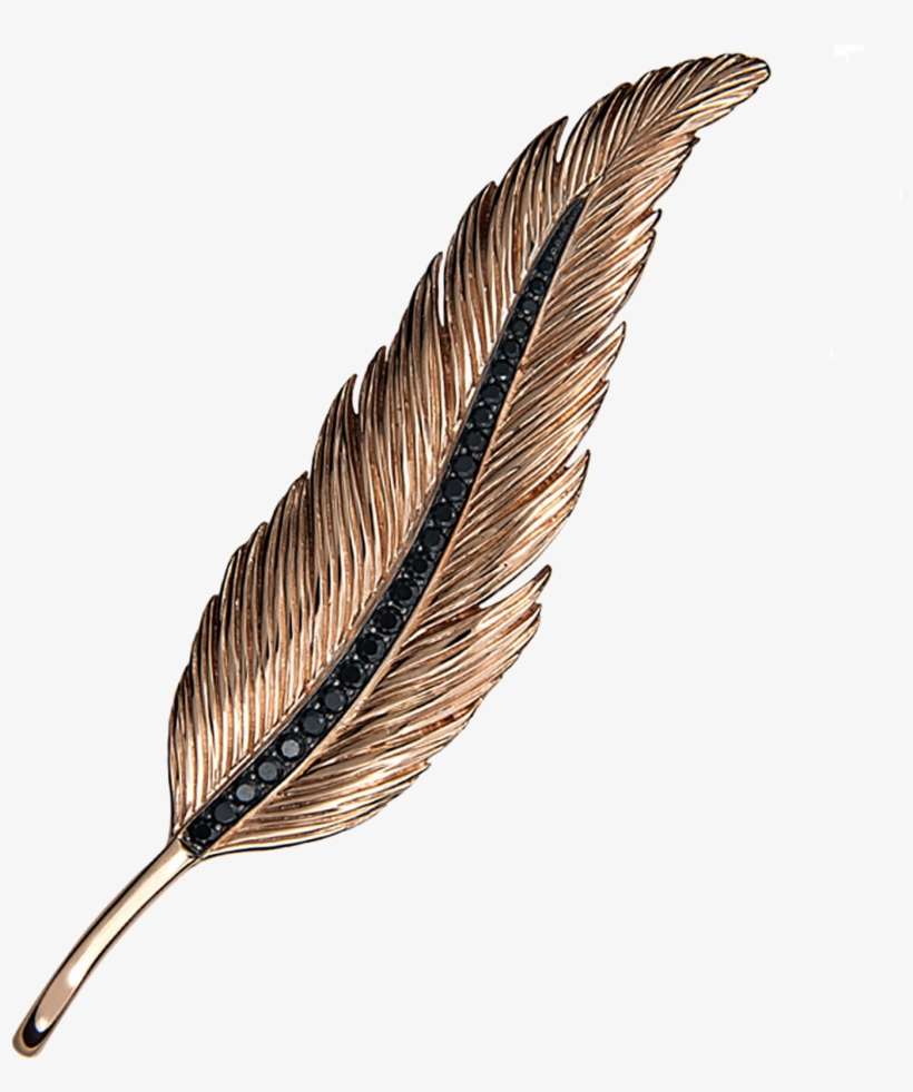 Pluma Pluma Png Peso Pluma PNG Images Transparent Free Download