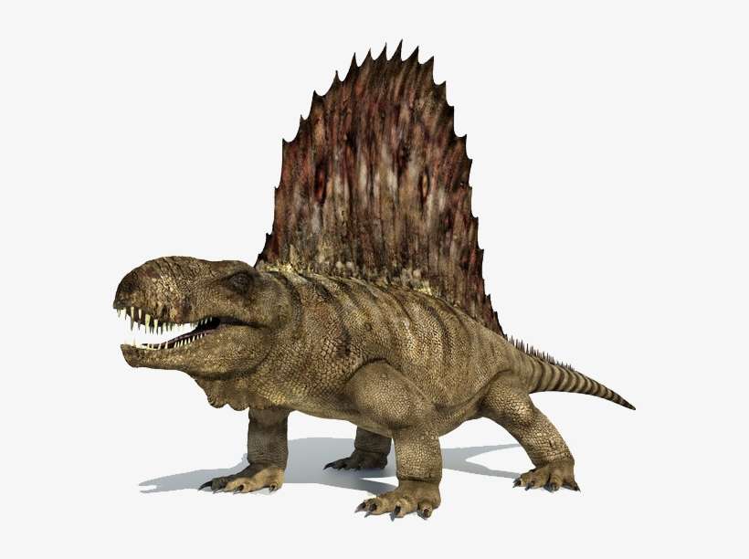 Dimetrodon Photo 4583759 Orig - Dimetrodon Dinosaur PNG Image ...