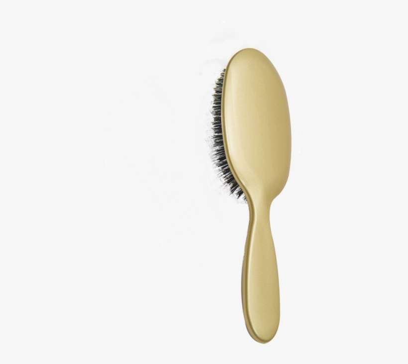 Brush PNG Image | Transparent PNG Free Download on SeekPNG