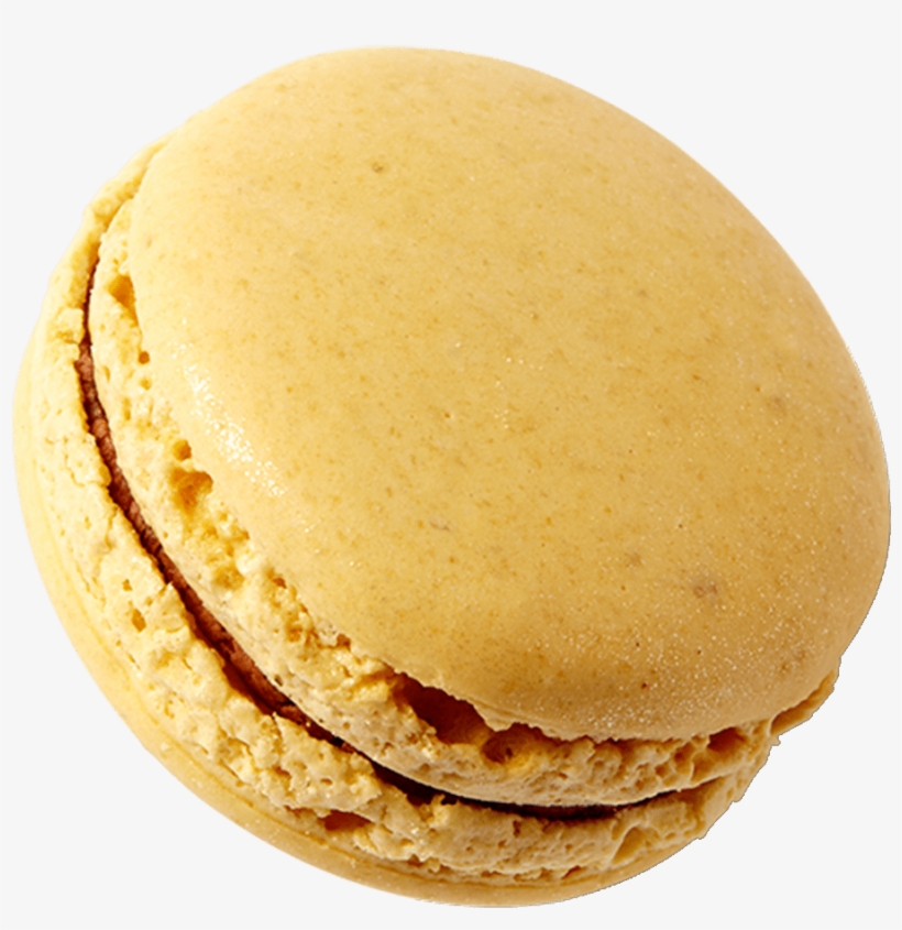 Macaroon PNG Image | Transparent PNG Free Download on SeekPNG