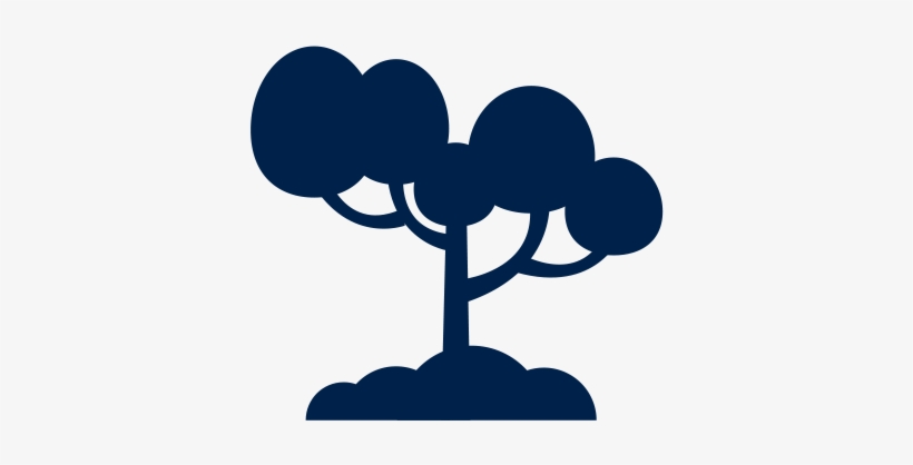Property Icons Trees PNG Image | Transparent PNG Free Download on SeekPNG