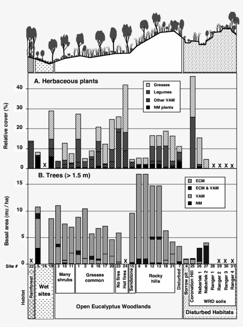 Herbaceous Vegetation Cover And Tree Basal Area (b) - Diagram PNG Image ...