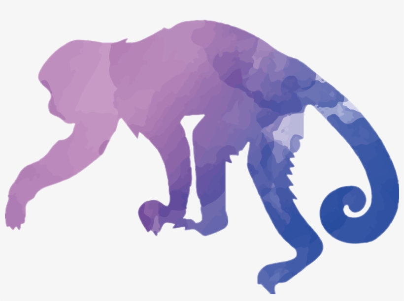 Monkey Sticker - Outline A Capuchin Monkey PNG Image | Transparent PNG ...