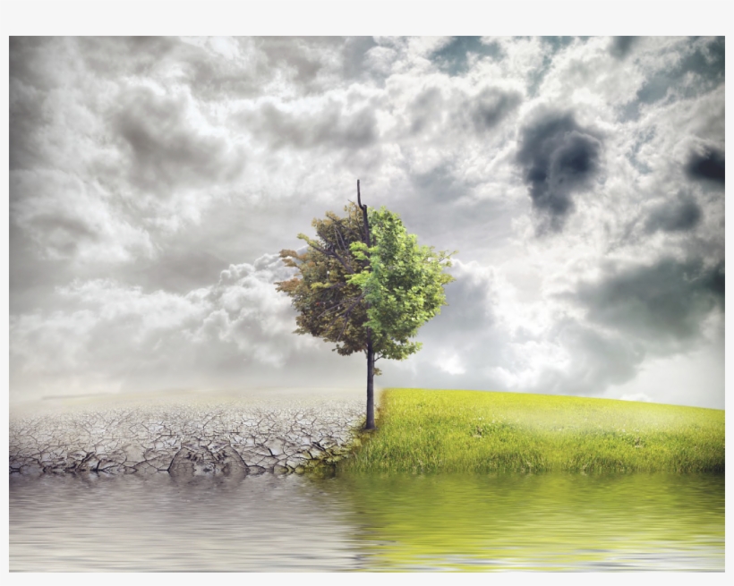 Transform Challenges Into Opportunities PNG Image | Transparent PNG ...