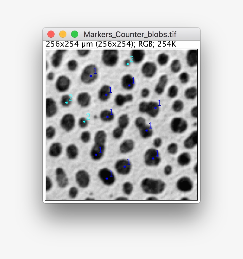 Screen Shot 2018 11 06 At - Imagej Save Line Profile PNG Image ...