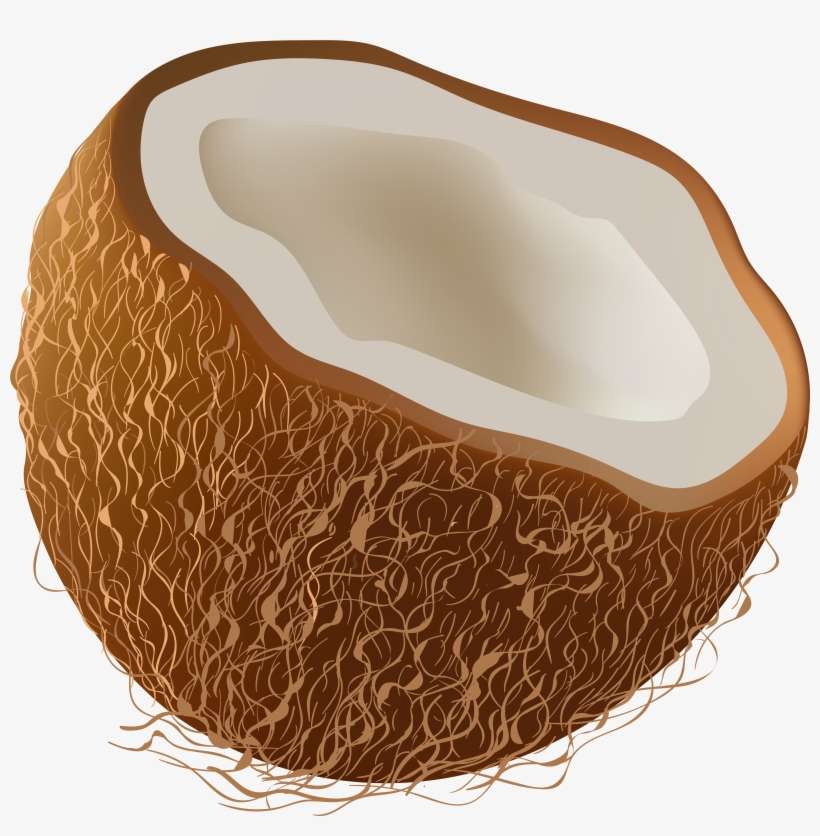 Download Coconut Transparent Clip Art Image | Transparent PNG Download ...