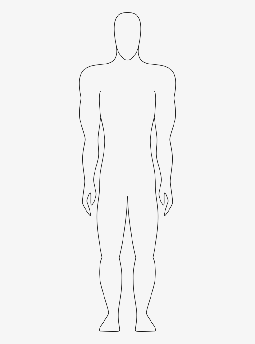 Clipart Human Body Outline Line Art PNG Image Transparent PNG Free 