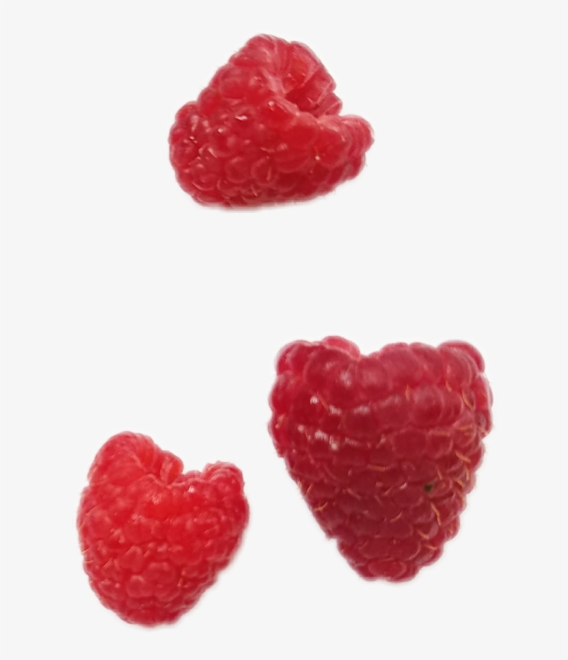 Raspberries Raspberry Png Aestheticpng Nichememe Nichep - Wine ...