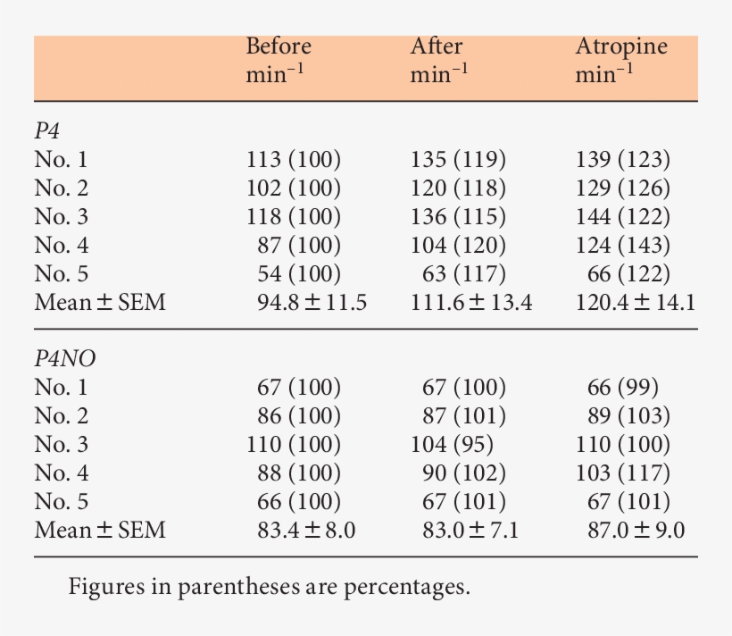 Heart Rate - Number PNG Image | Transparent PNG Free Download on SeekPNG