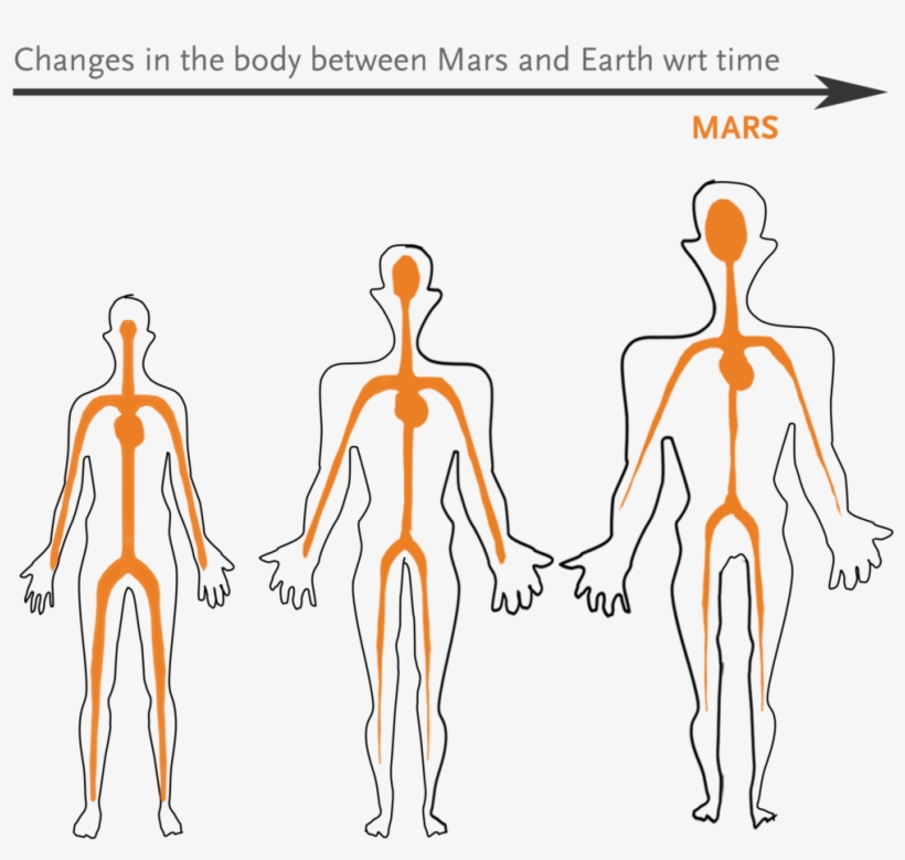 2-changes 2 - Diagram PNG Image | Transparent PNG Free Download on SeekPNG