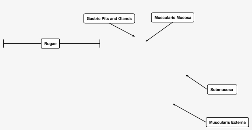 Diagram PNG Image | Transparent PNG Free Download on SeekPNG
