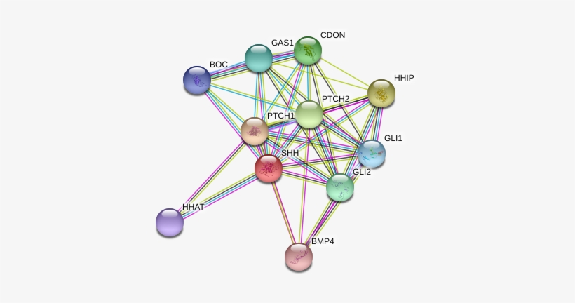 Circle PNG Image | Transparent PNG Free Download on SeekPNG