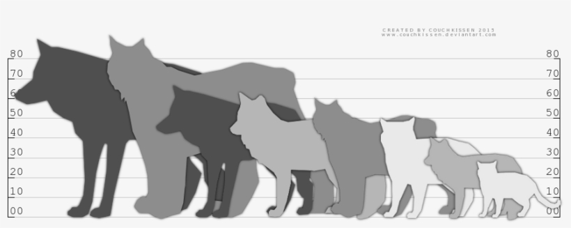 General Dire Wolf Size Chart