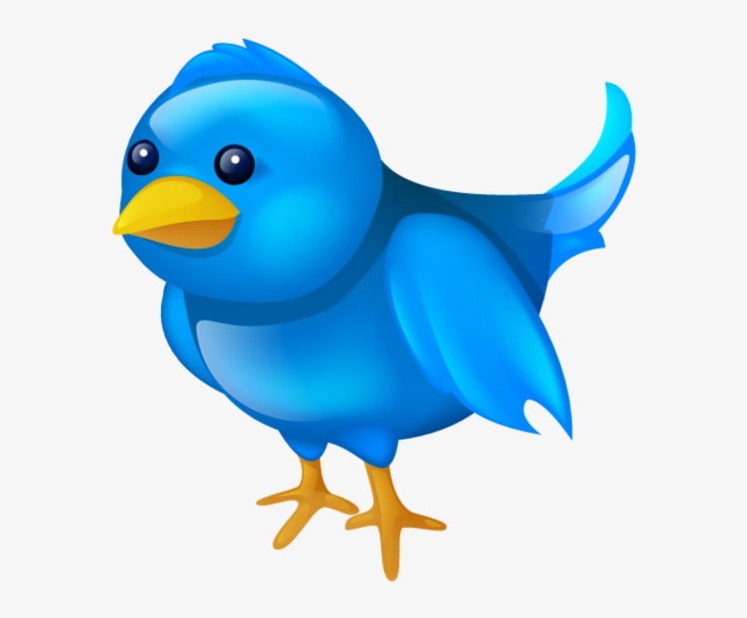 Png File For Download PNG Image | Transparent PNG Free Download on SeekPNG