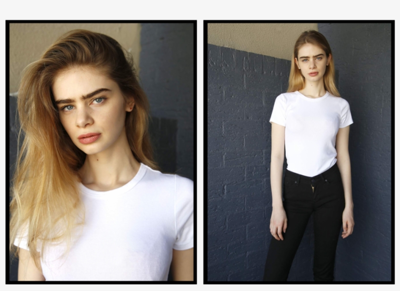 Indigo PNG Image | Transparent PNG Free Download on SeekPNG