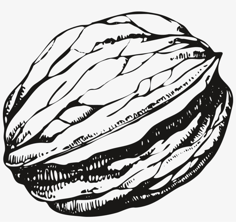 Download Wc Logos - Walnut Png Drawing | Transparent PNG Download | SeekPNG