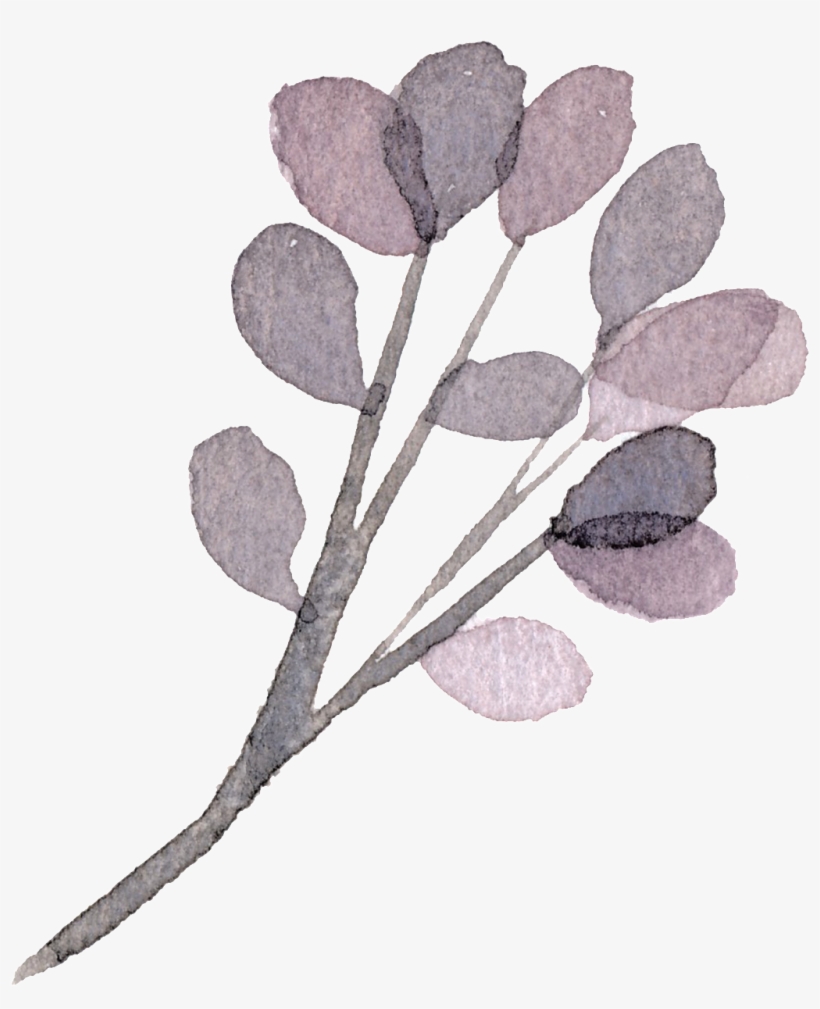 Black Leaf Cartoon Transparent - Smoketree PNG Image | Transparent PNG ...