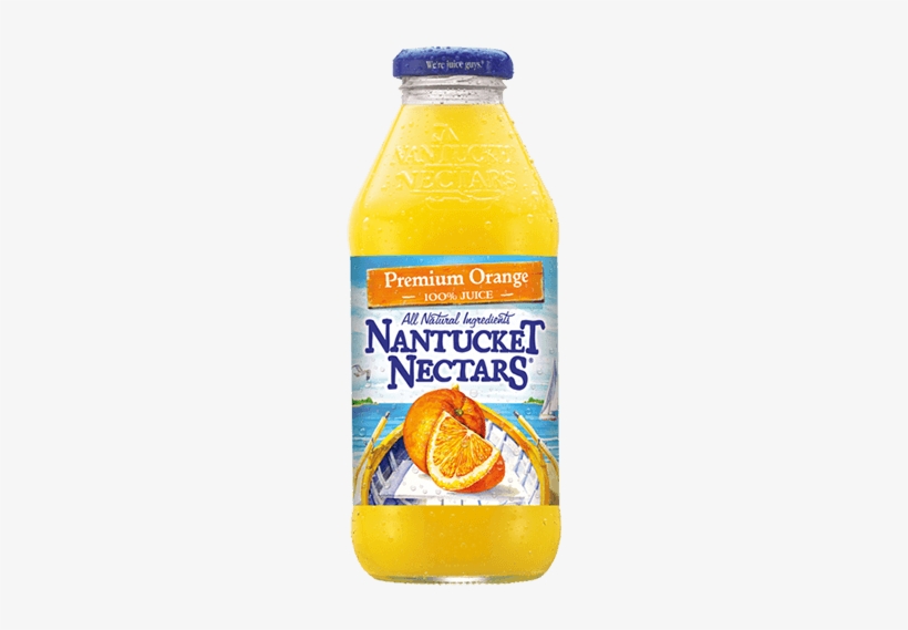 Nantucket Nectars Orange Juice - Nantucket Nectars Premium Orange, 16 ...