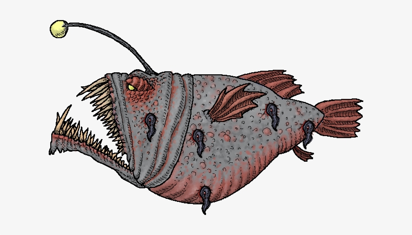 Angler Fish Png PNG Image | Transparent PNG Free Download on SeekPNG
