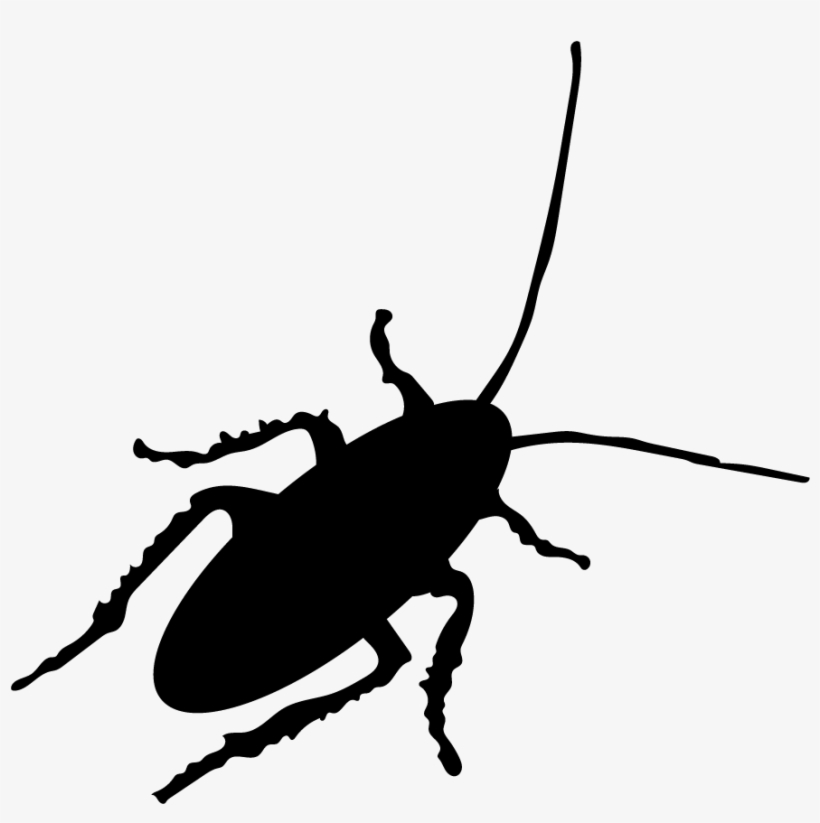 German Cockroach - Longhorn Beetle PNG Image | Transparent PNG Free ...