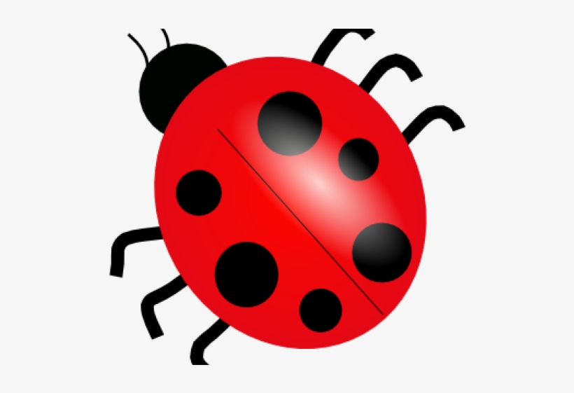 Ladybug Clipart Public Domain - Ladybug Clip Art PNG Image ...