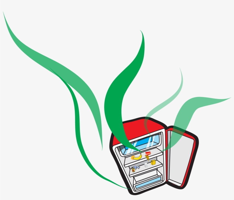 Smelly Office Refrigerator