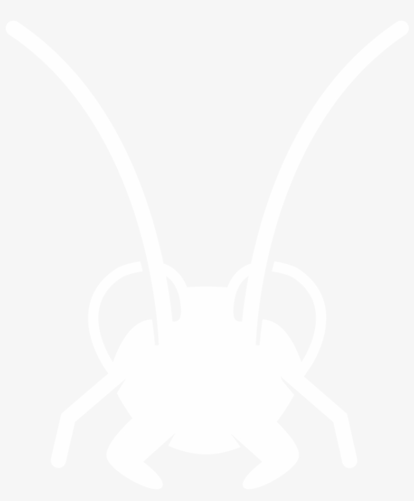 American Cockroach - German Cockroach PNG Image | Transparent PNG Free ...