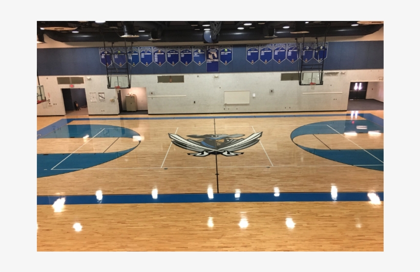 Palm Coast Observer PNG Image | Transparent PNG Free Download on SeekPNG