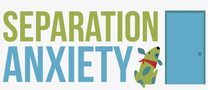 Home Alone Separation Anxiety Seminar - Cartoon PNG Image | Transparent ...