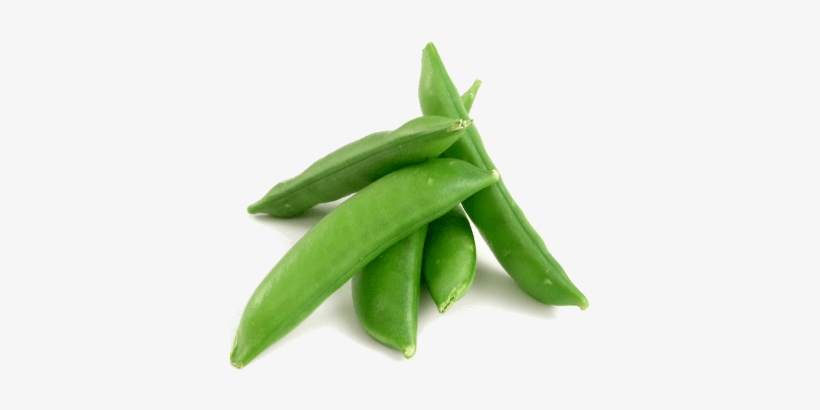 Download Snow Peas | Transparent PNG Download | SeekPNG